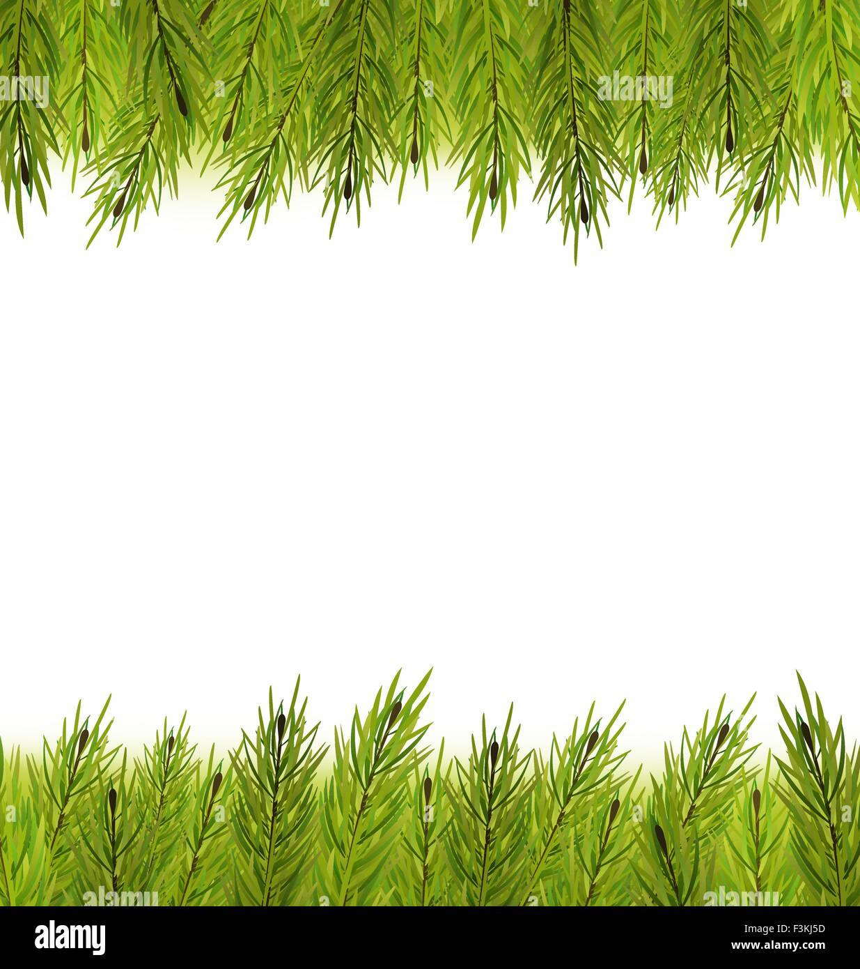 Frame made pine branches Stock Vector Images - Alamy