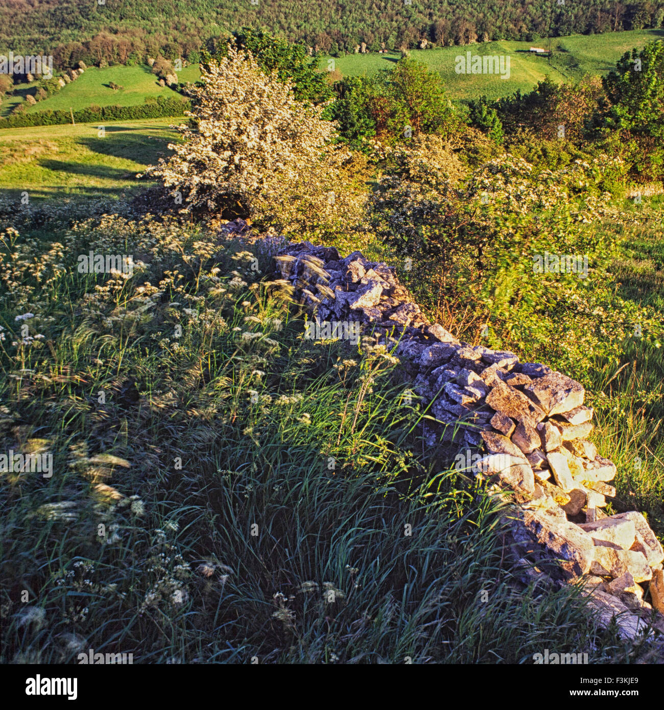 Slad Valley, Gloucestershire as immortalized by Laurie Lee Stock Photo ...