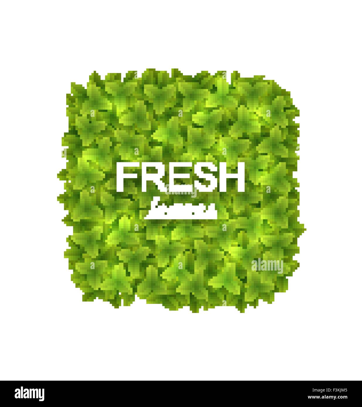 Eco Friendly Label Made in Green Leaves Stock Vector Image & Art - Alamy