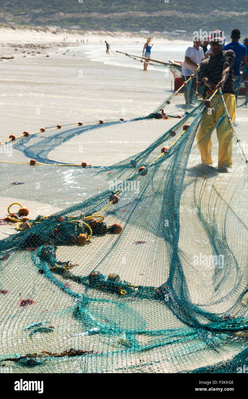 Fishermen pull hi-res stock photography and images - Alamy
