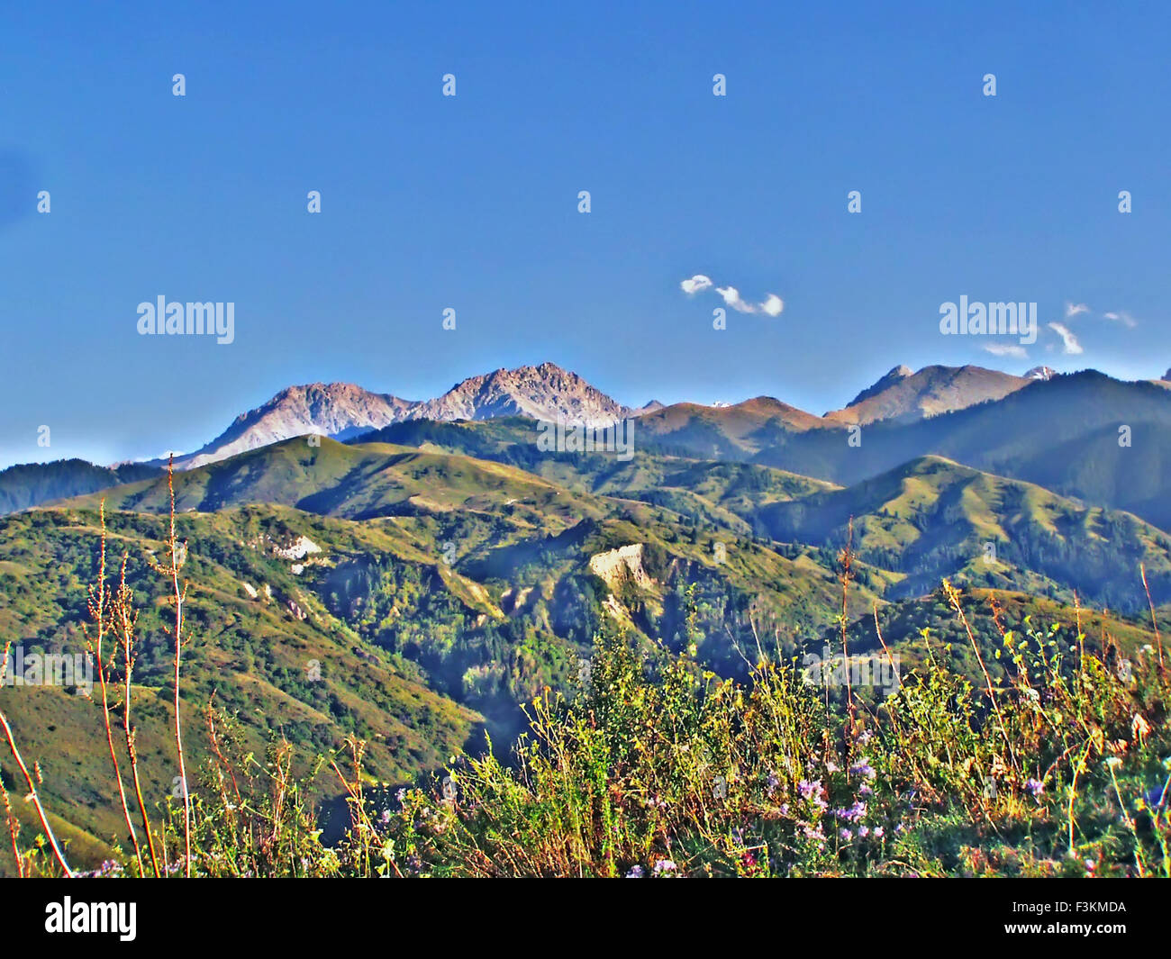 Mountain view in the Almaty Reserve. Alatau Mountains Stock Photo - Alamy