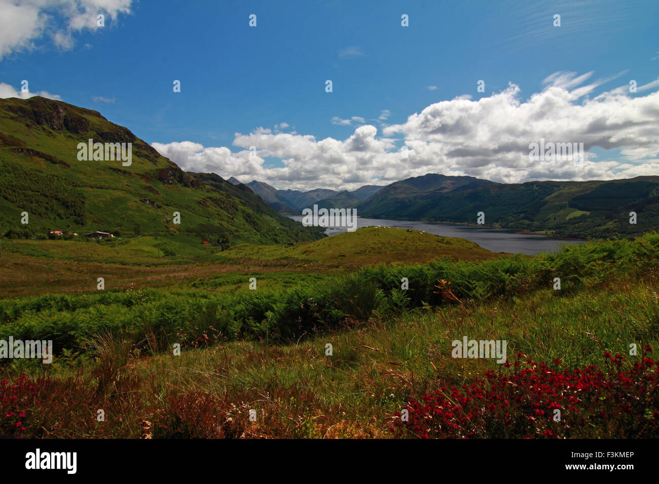 A beautiful, scenic, view across Loch Duich with views towards the ...