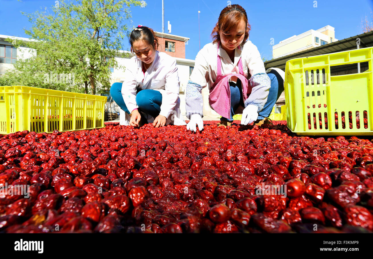Zhangye, China's Gansu Province. 8th Oct, 2015. Women select red dates ...