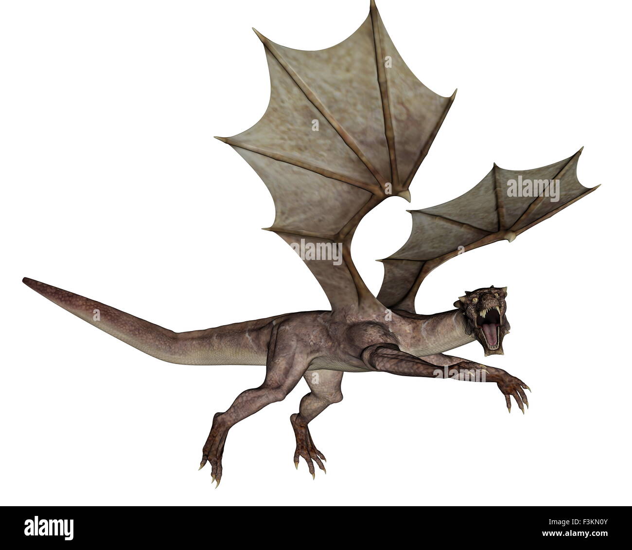 Dragon Front View Roar