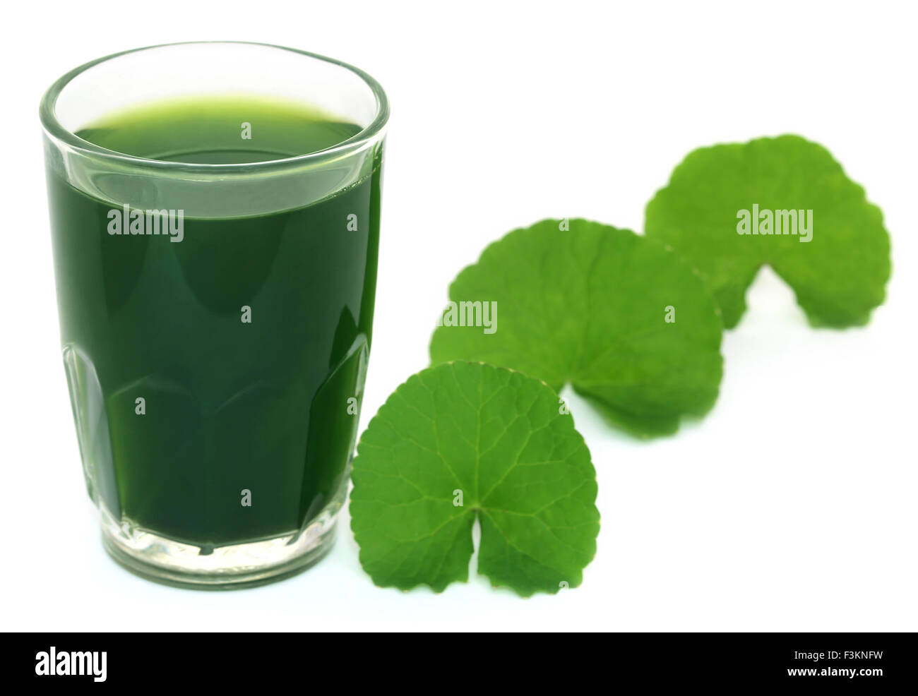 Medicinal thankuni leaves of Indian subcontinent with extract Stock ...