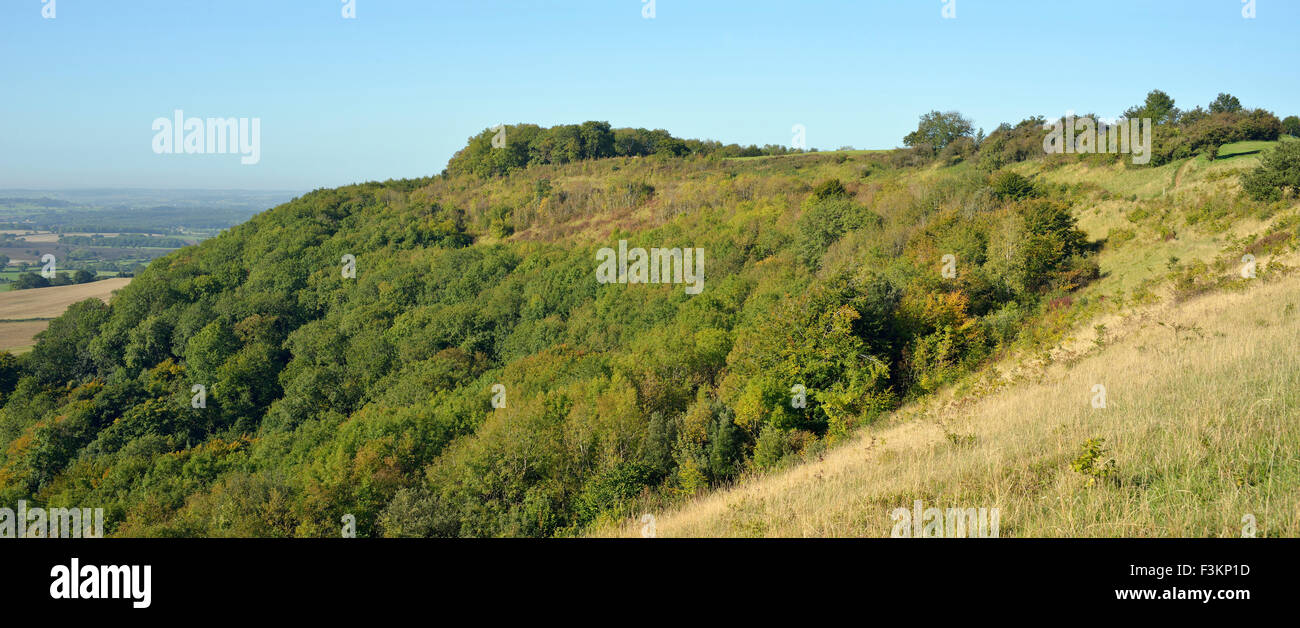Drakestone Point Autumn colours, Stinchcombe Hill, Dursley Stock Photo ...