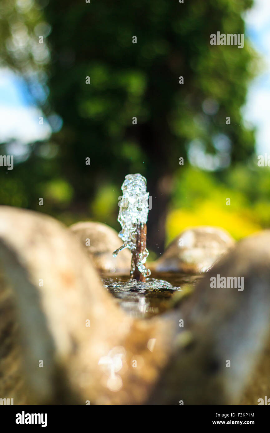 Water fountain in stone trough with tree, flower, sky background Stock ...