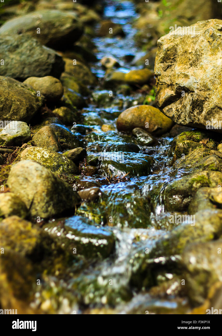 Wet dry hi-res stock photography and images - Alamy