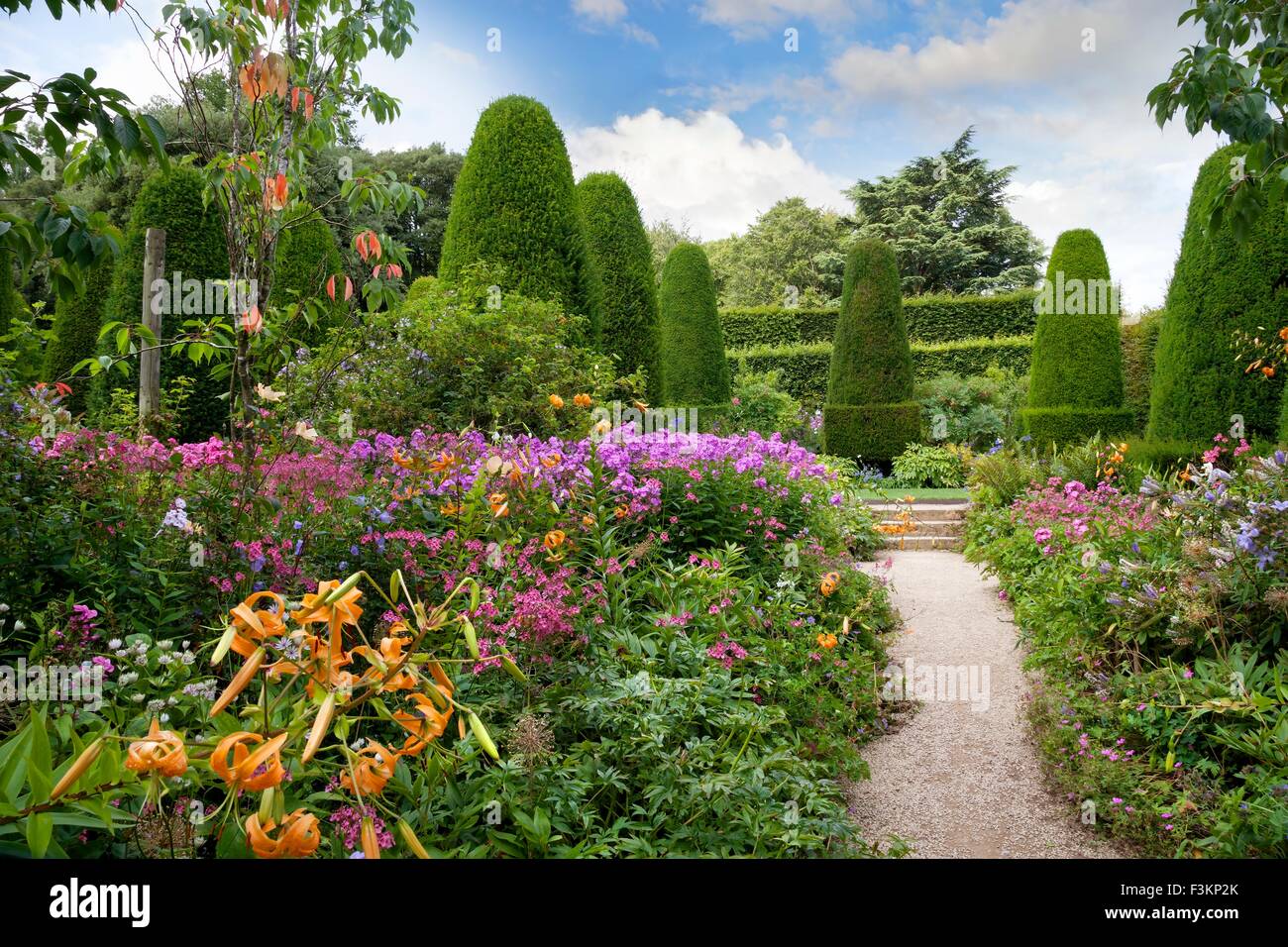 Colourful flower beds and clipped Yew trees, England Stock Photo - Alamy