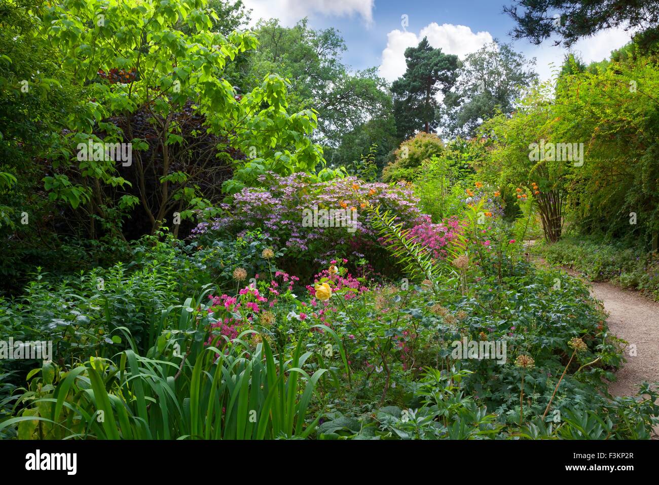 Gravel path through colourful flower beds, England Stock Photo - Alamy