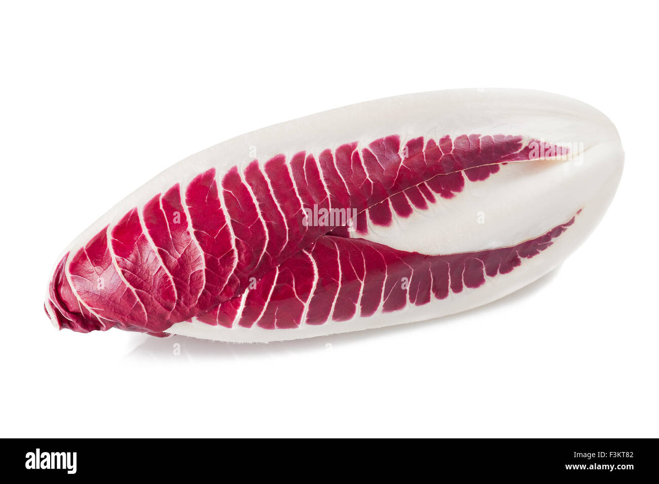 red chicory isolated on white Stock Photo - Alamy