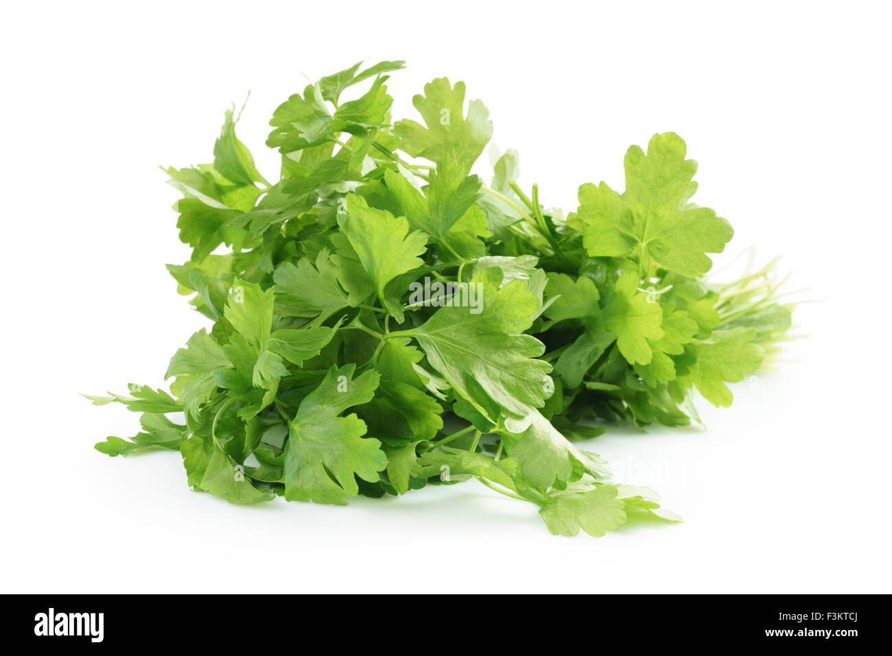 Curly parsley Cut Out Stock Images & Pictures - Alamy