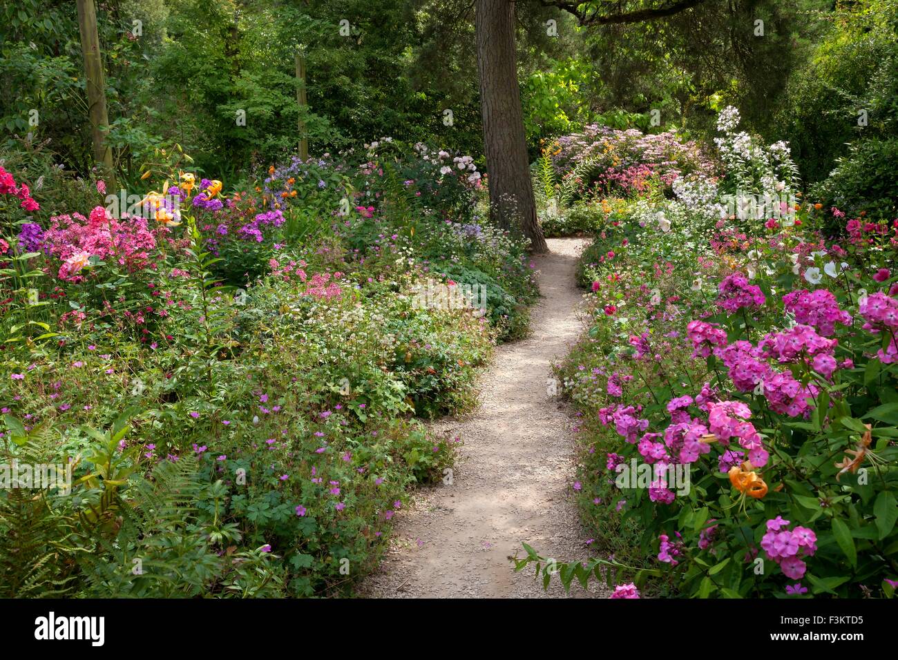 Gravel path through colourful flower beds, England Stock Photo - Alamy