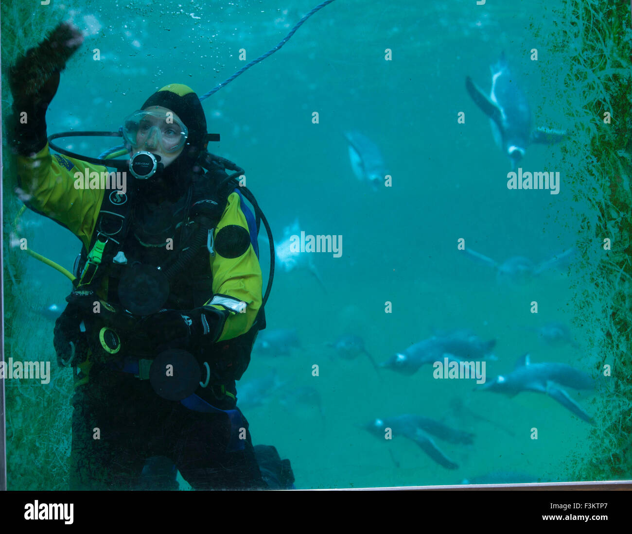 Animales zoo hi-res stock photography and images - Alamy