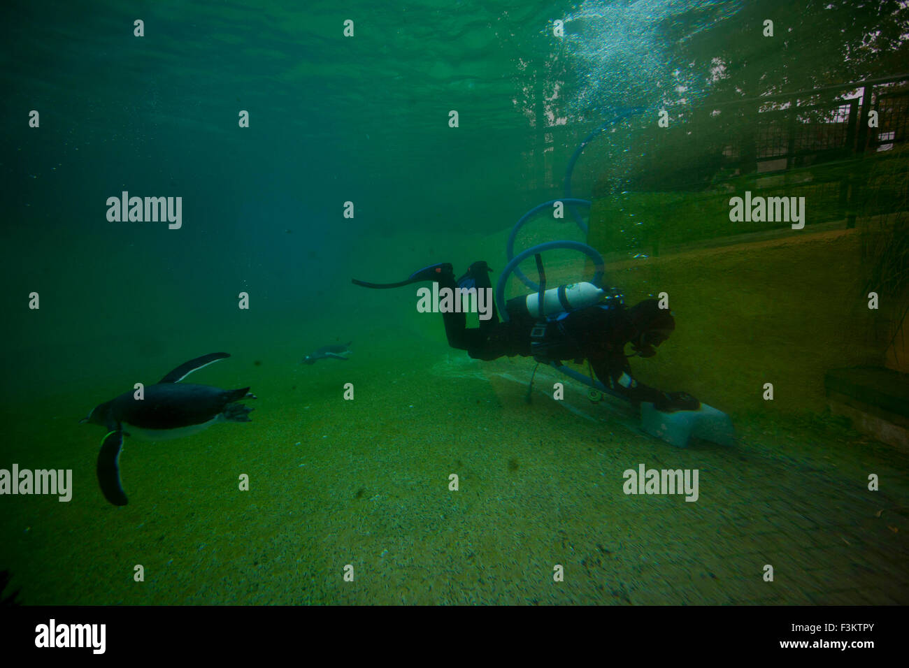 Kate evans hi-res stock photography and images - Alamy