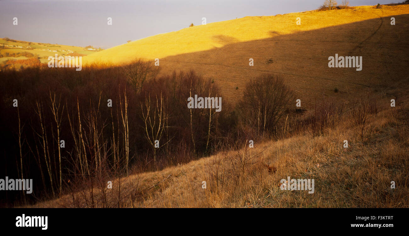 View towards Woodchester from Minchinhampton common, Gloucestershire ...