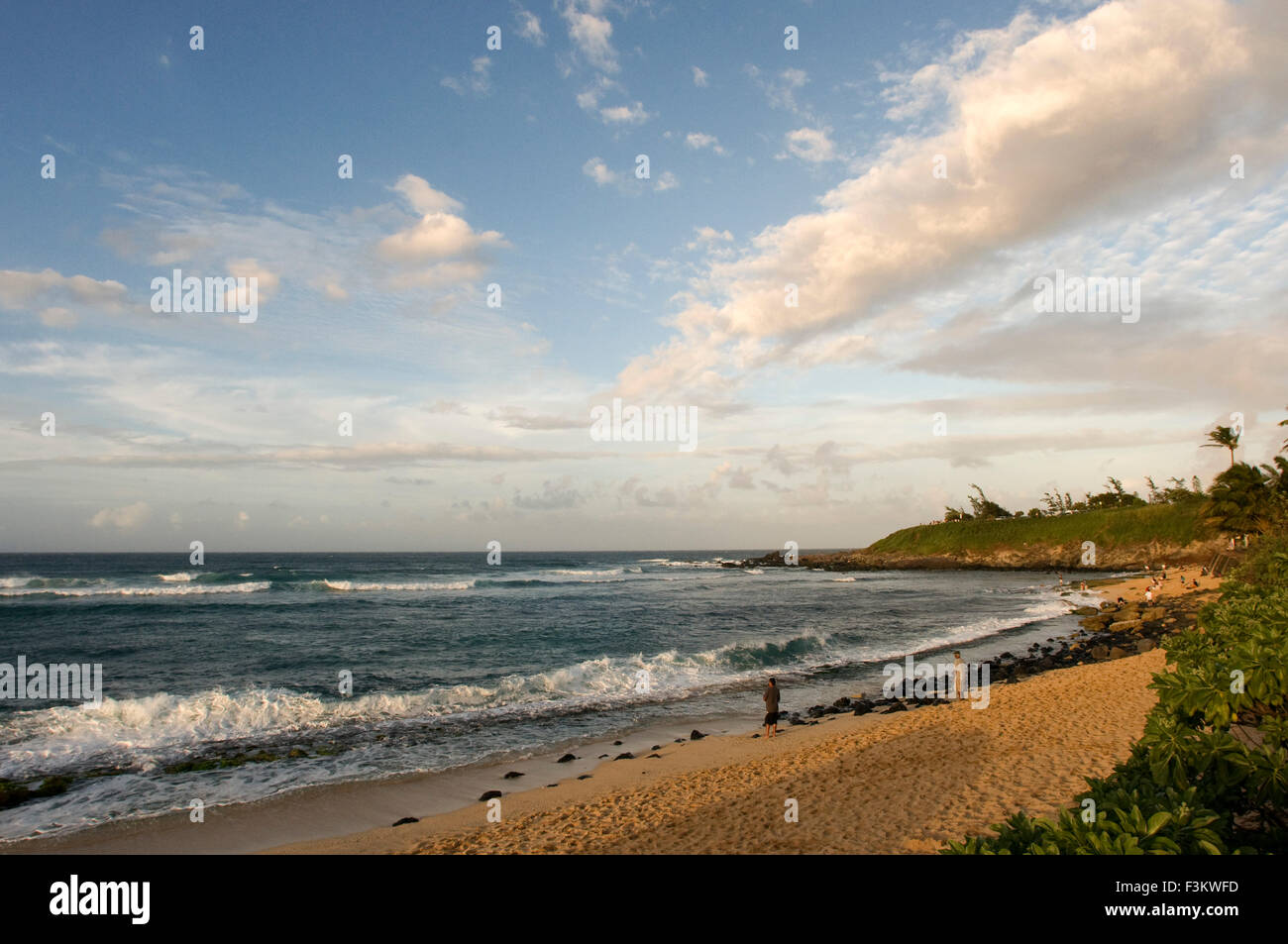 Papawai Point beach. Maui. Hawaii. The Pacific Whale Foundation is ...