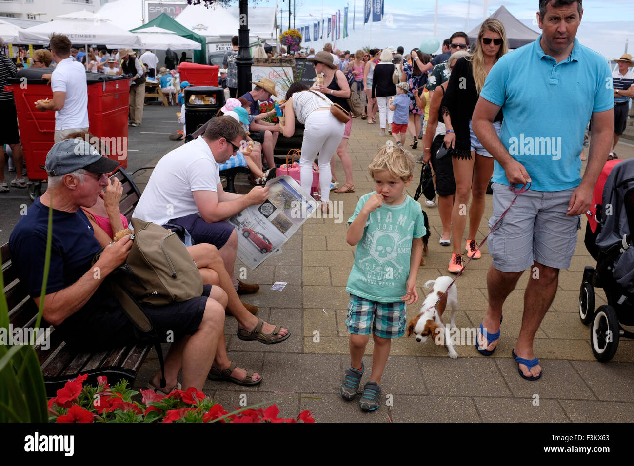 Cowes Week, 2015, Isle of Wight Cowes Week, 2015, Isle of Wight owl ...