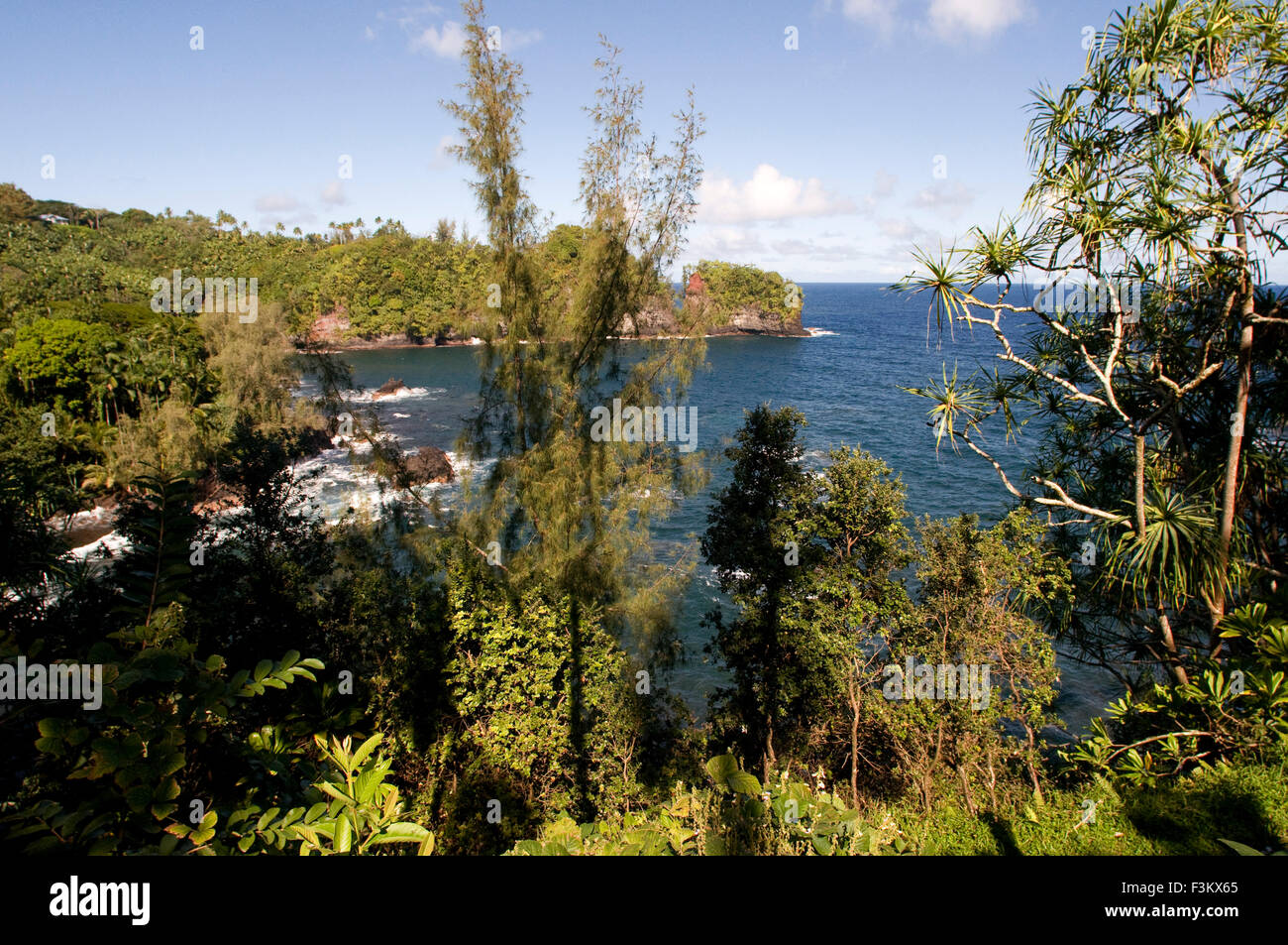Coastal views from the Panoramic Route Pepe'ekeo. Big Island. Hawaii ...