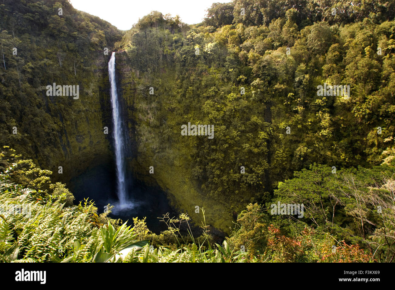 Akaka waterfall at Akaka Falls State Park. Big Island. Hawaii. At Akaka ...