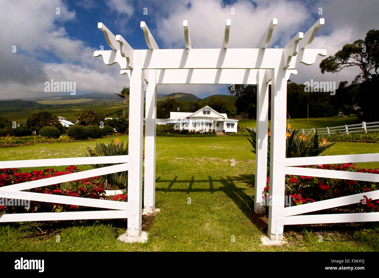Landscape of Anna Ranch and countryside; Waimea, Island of Hawaii ...