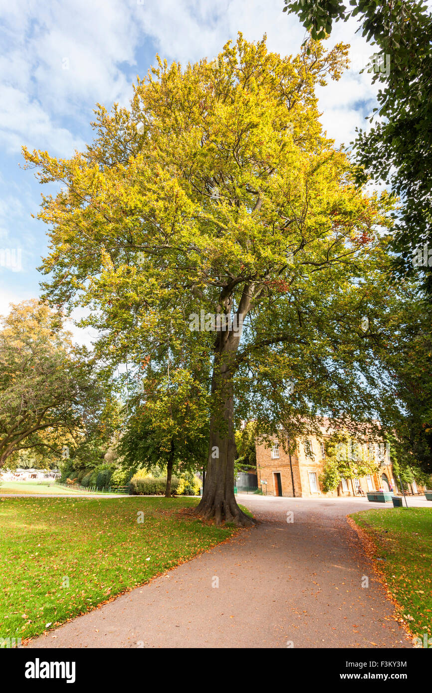 Abington park museum hi-res stock photography and images - Alamy