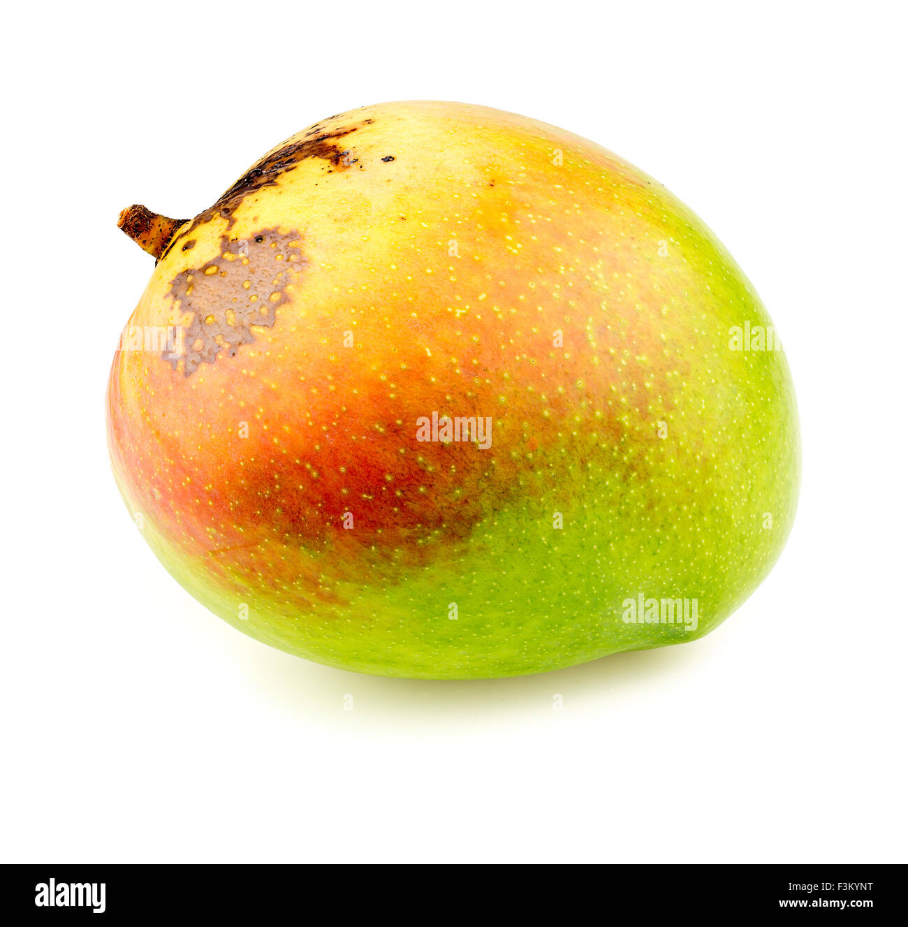 Mango orange tree Cut Out Stock Images & Pictures - Alamy