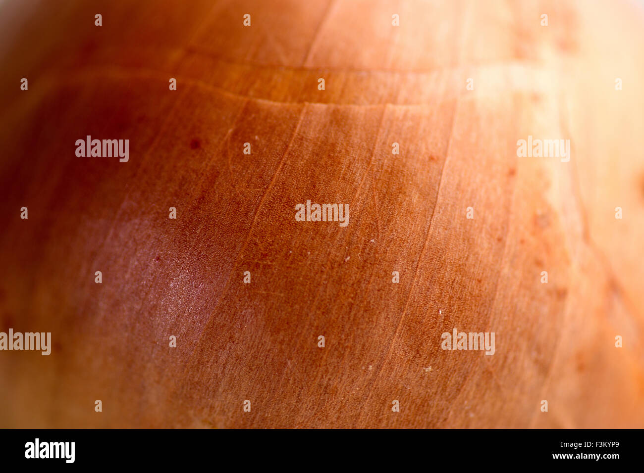 Layers of the onion hi-res stock photography and images - Alamy