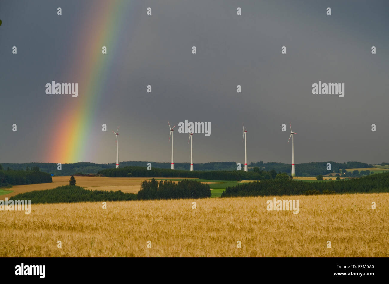 Wind power plants behind a grainfield with dark cloudy sky and rainbow ...