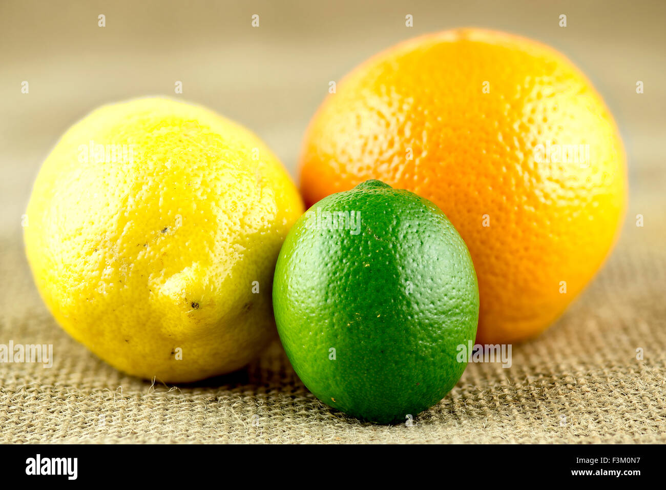 Group of colorful bright citrus fruits with orange, lime and lemon ...