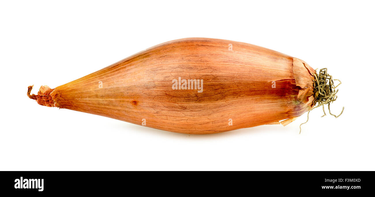 Closeup macro of beautiful echalion onion Stock Photo - Alamy
