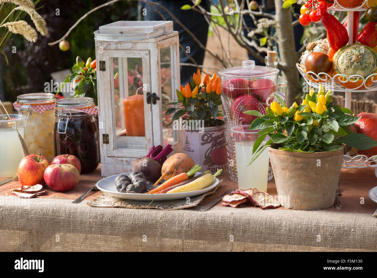 Vegetable and fruit display table at an Autumn Show. UK Stock Photo - Alamy