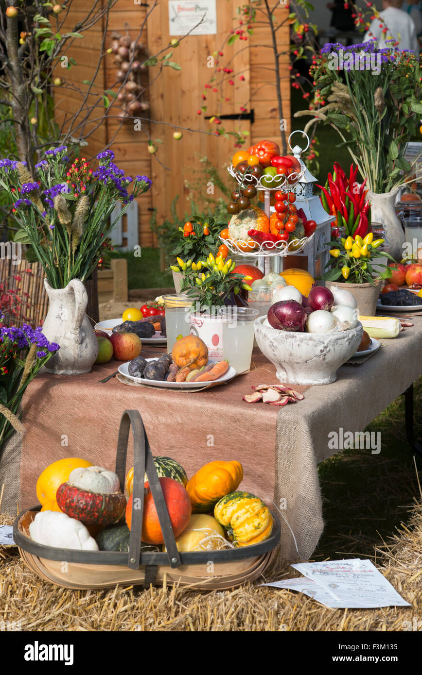 Vegetable and fruit display table at an Autumn Show. UK Stock Photo - Alamy