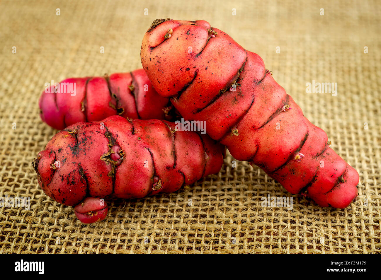 Oca new zealand yam oxalis hi-res stock photography and images - Alamy