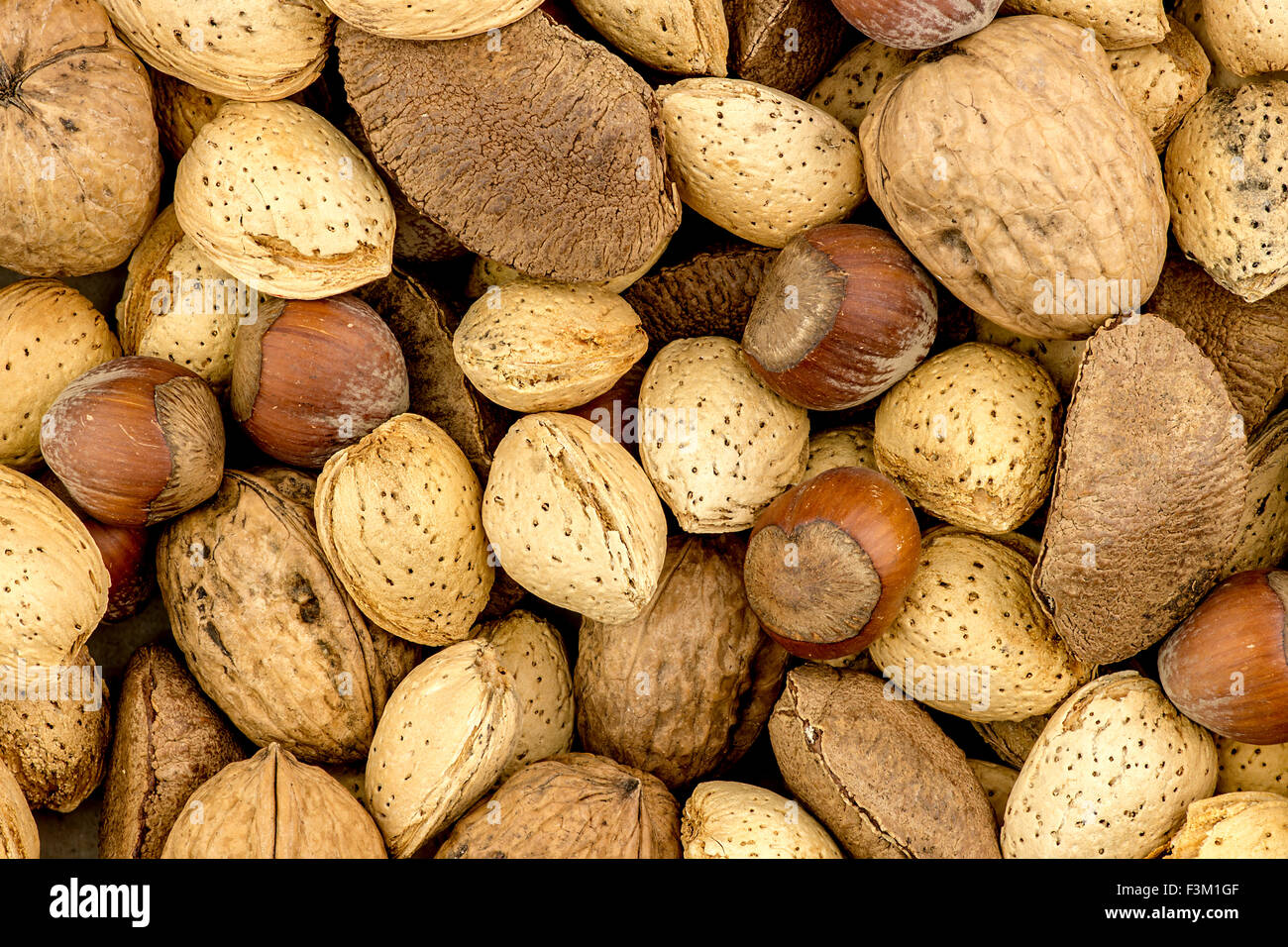Brazil nuts, hazelhuts, walnuts and almond background texture Stock ...