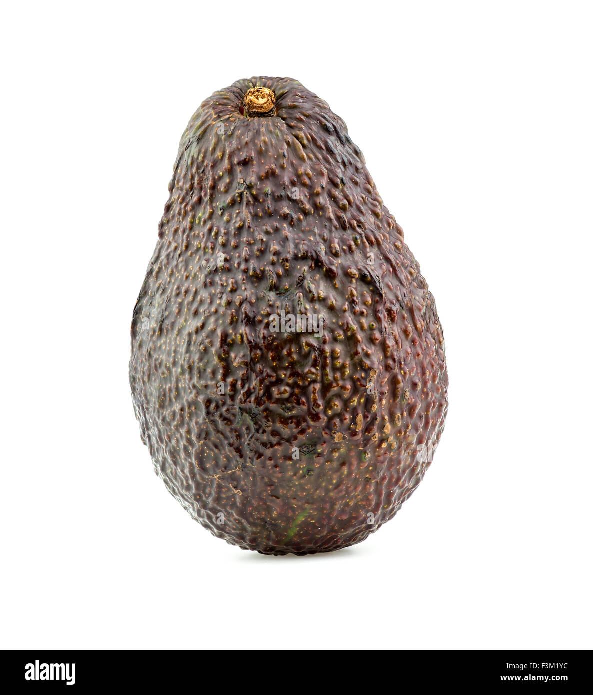 Avocado fruit studio shot Stock Photo - Alamy