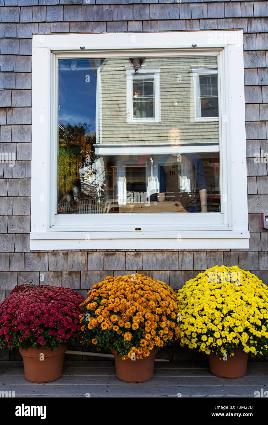 Violet wood shingles hi-res stock photography and images - Alamy