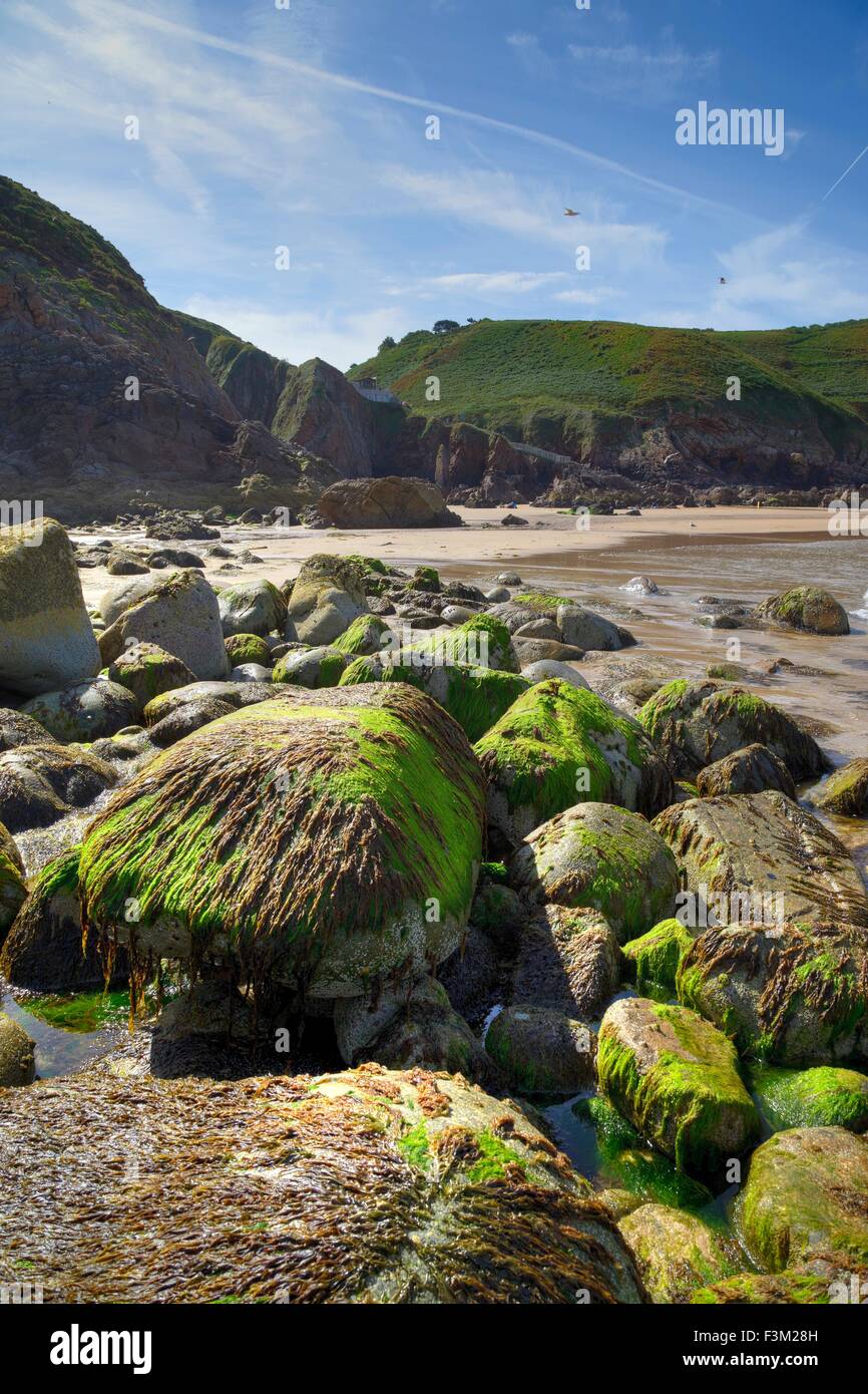Plemont Bay, Jersey, British Isles Stock Photo - Alamy
