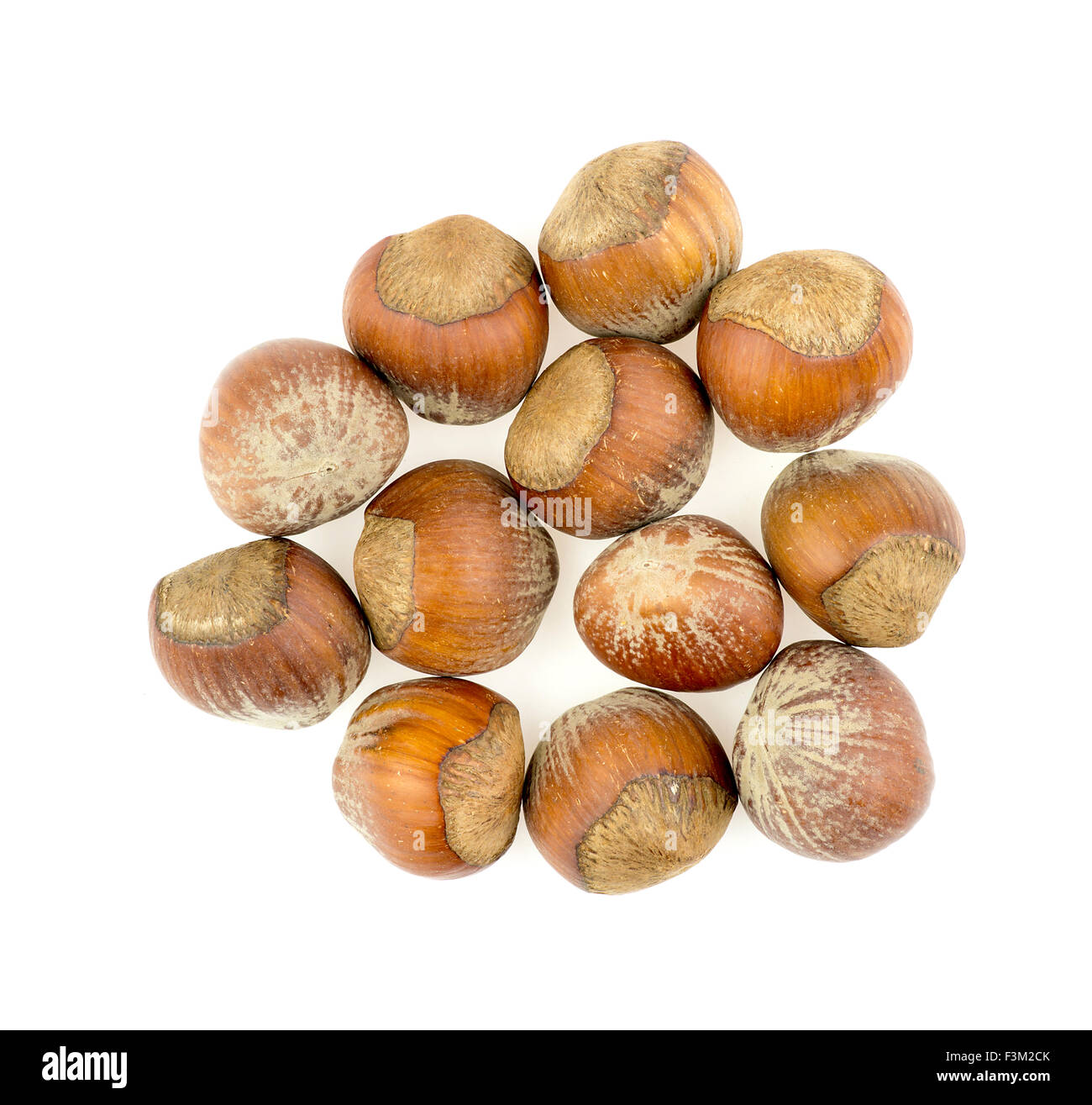 Pile of hazelnuts Stock Photo - Alamy