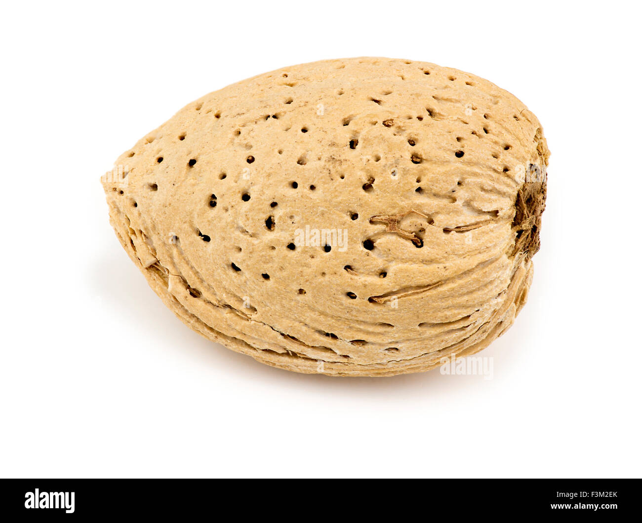 Macro closeup of almond shell isolated on white Stock Photo - Alamy