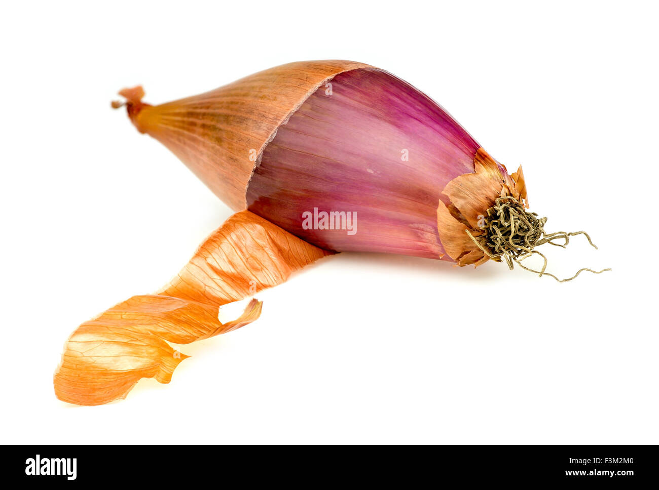Purple skin Cut Out Stock Images & Pictures - Alamy
