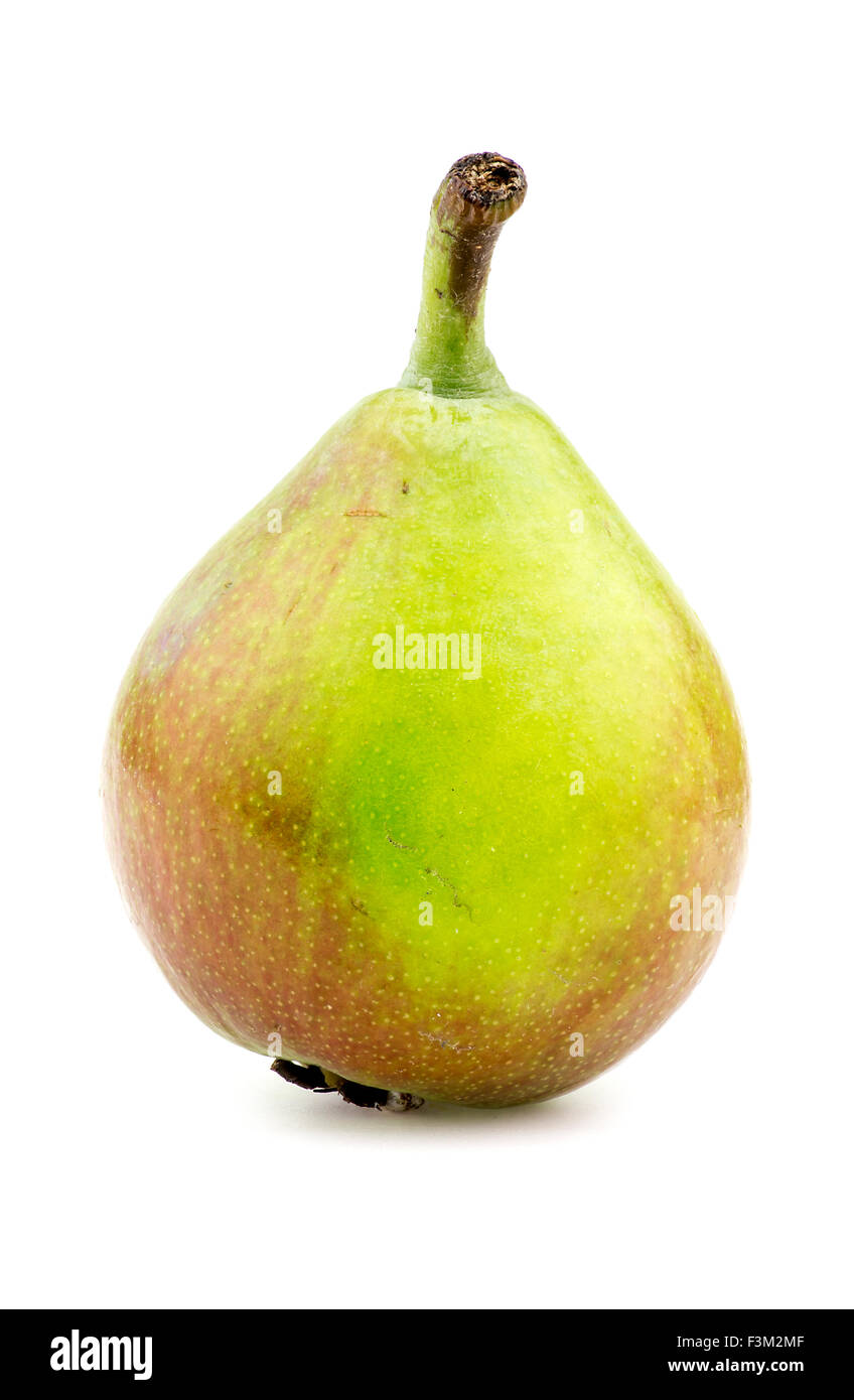 Mini bella hi-res stock photography and images - Alamy