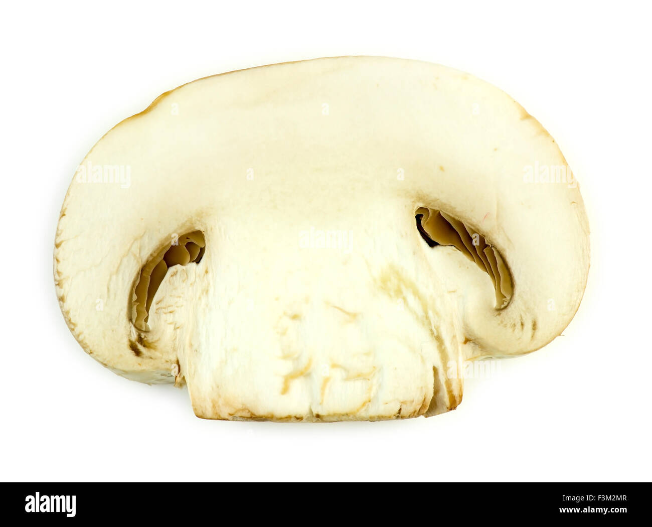 Common mushroom slice isolated on white Stock Photo - Alamy
