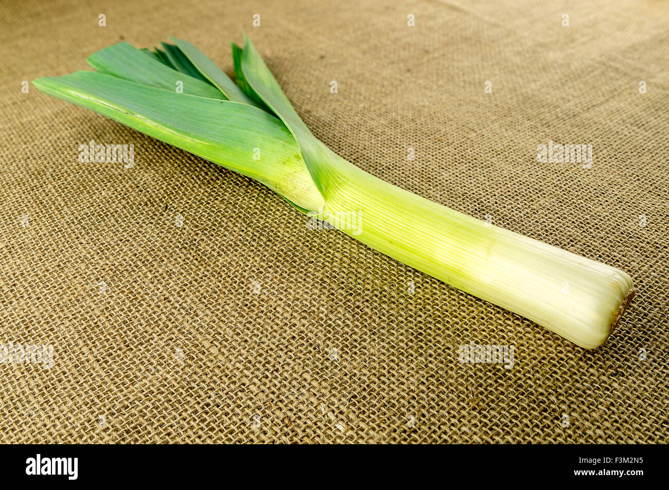 Whole organic leek Stock Photo - Alamy