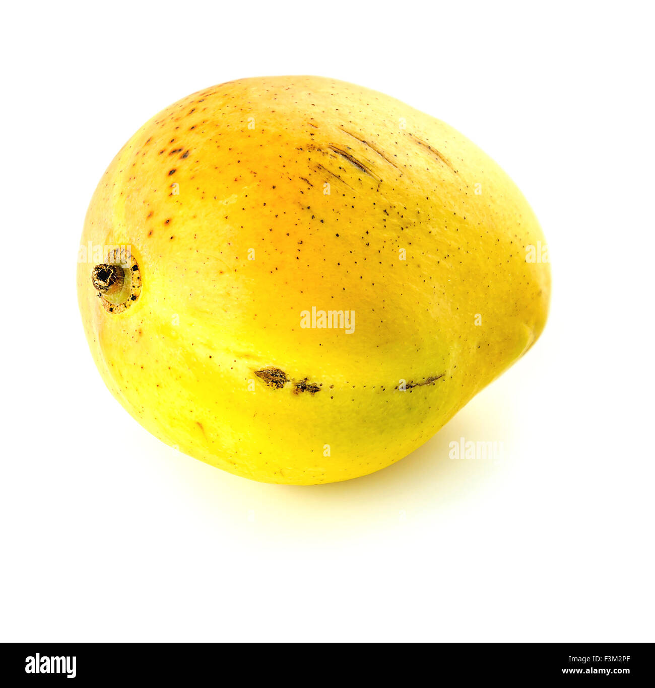 Tropical mango isolated in studio Stock Photo - Alamy