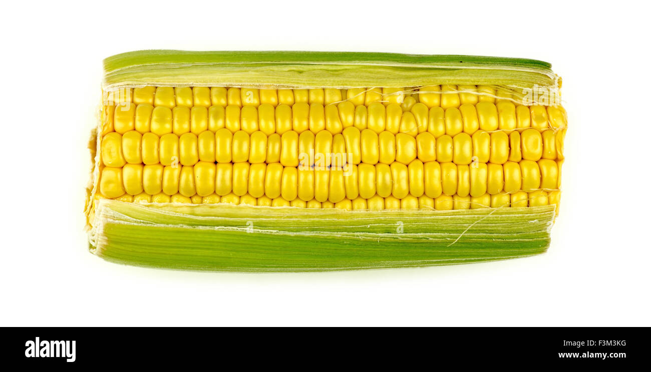 Single corn cob isolated on white background Stock Photo - Alamy