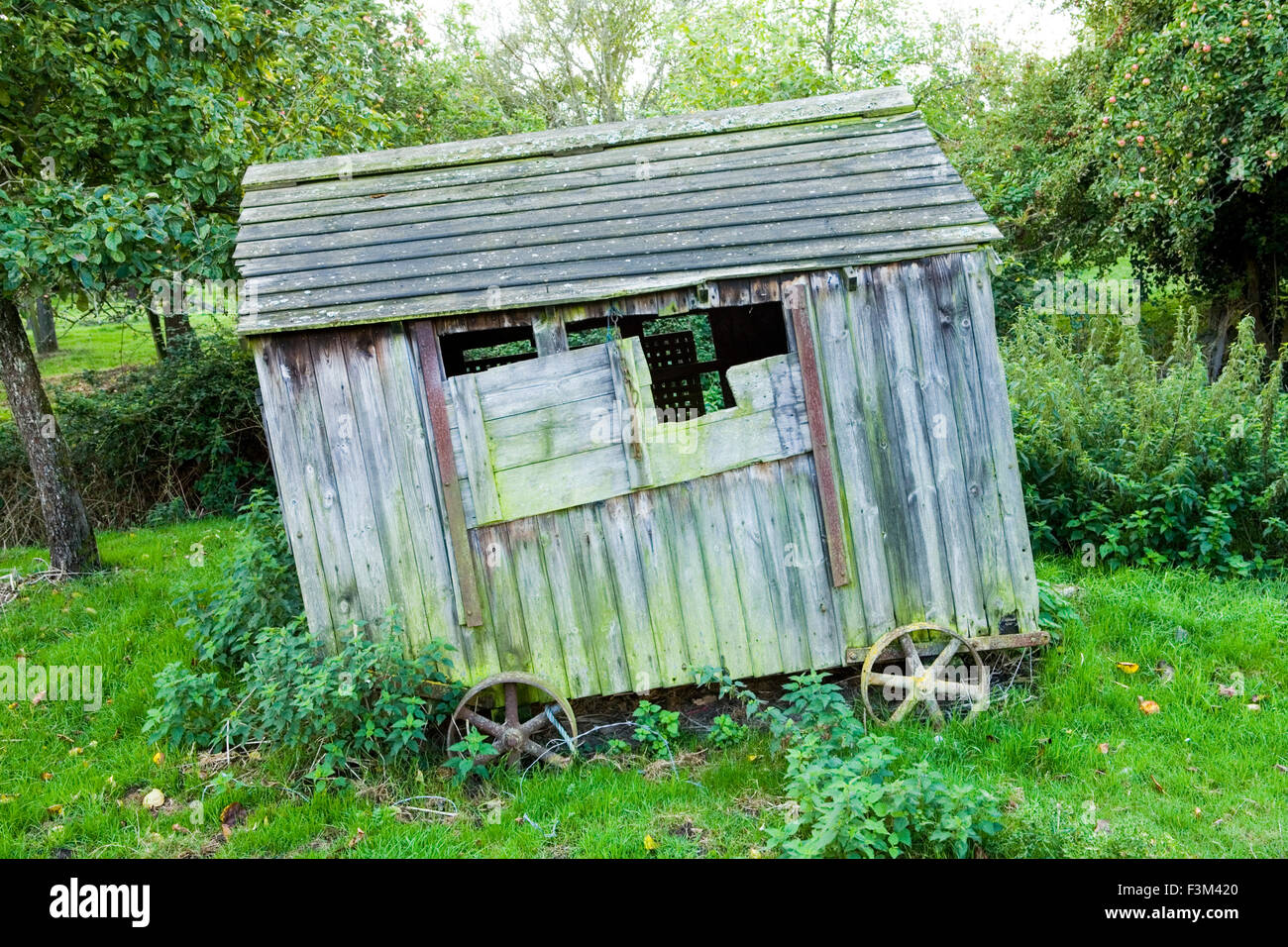 Old wooden hut falling apart hi-res stock photography and images - Alamy