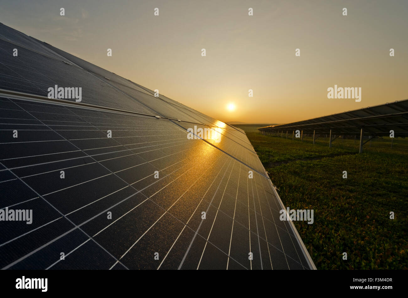 Photovoltaik solar panels in a row at sunrise Stock Photo - Alamy