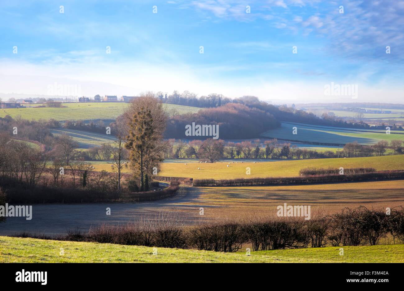 Rous lench hi-res stock photography and images - Alamy