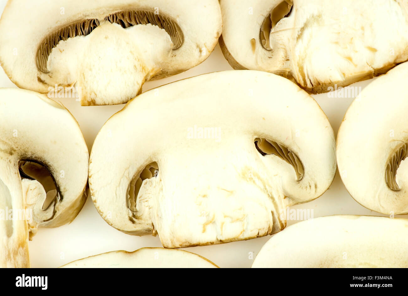 Common mushroom hi-res stock photography and images - Alamy